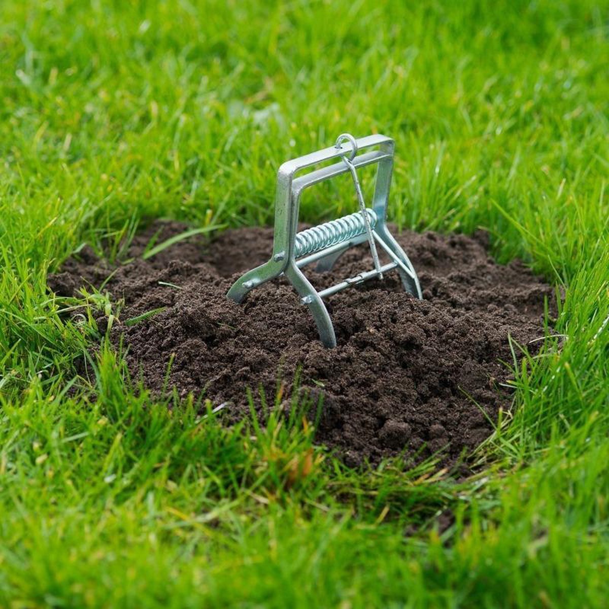 1x Mollenvallen/mollenklemmen 14 cm - Ongediertebestrijding ...