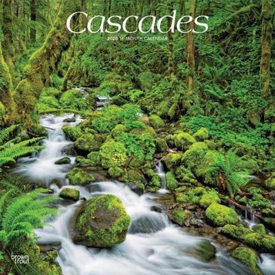 Cascades 2020 Square | bol.com