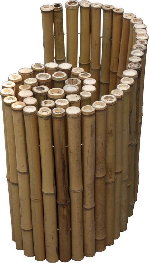 Bamboe border naturel | bol
