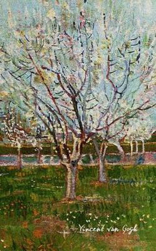 Vincent van Gogh, Wild Goose Books And Prints | 9781076505422 | Boeken ...