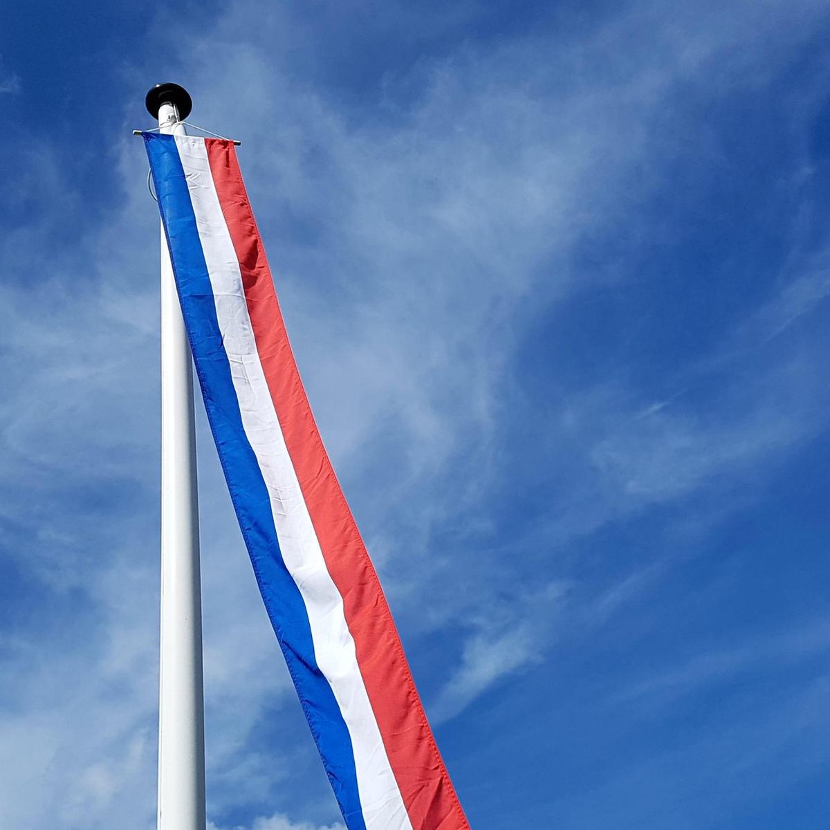 NR 3: Wimpel Nederland - Nederlandse wimpel 300cm. Premium kwaliteit ...