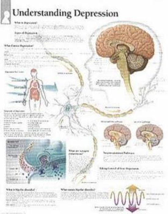 Understanding Depression Chart | bol.com