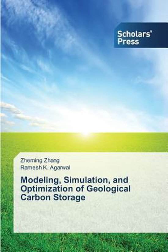 Modeling, Simulation, and Optimization of Geological Carbon Storage ...