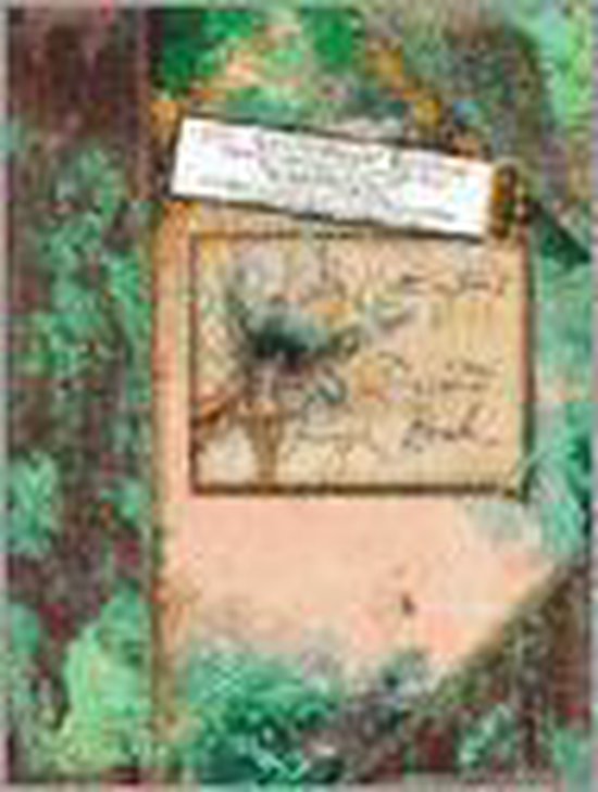 Lady Cottington's Pressed Fairy Book, Brian Froud | 9780810959422 ...