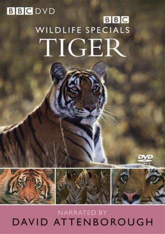 Wildlife Special: Tiger (Dvd) | Dvd's | bol