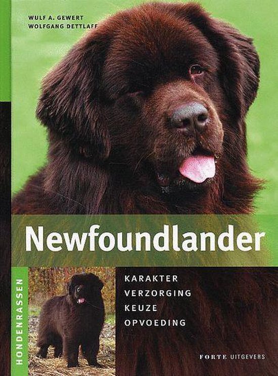 Newfoundlander - Goedmoedige familiehond, waterreddingshond - Opvoeding ...