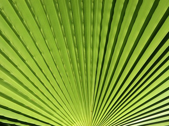 Potgrond langwerkend aarde 20 liter | bol