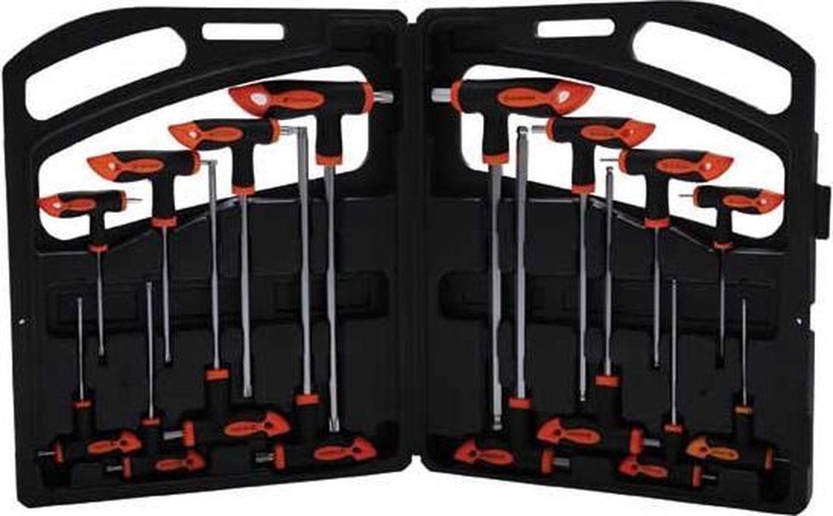 Torx- Inbusset met T-greep 16 delig BGS 90 | bol.com
