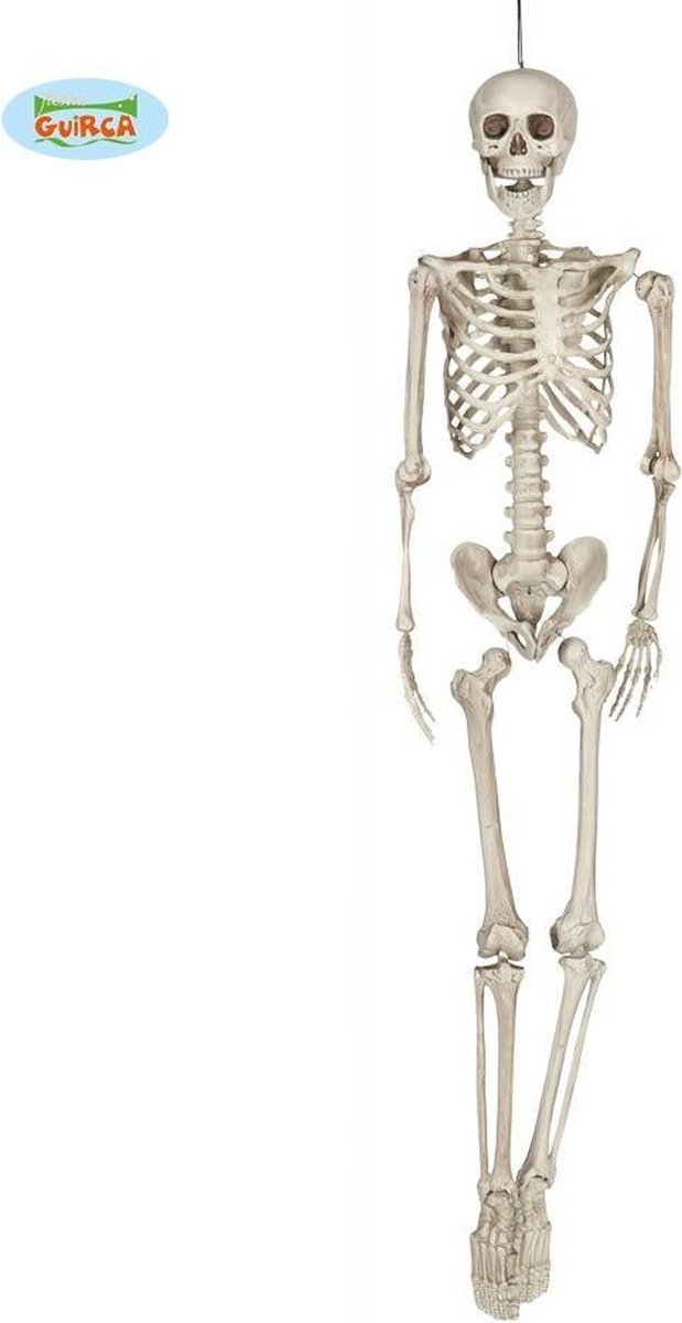 Hangend Menselijk skelet. | bol.com