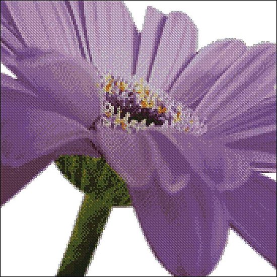 Borduurpatroon Gerbera Paars | bol