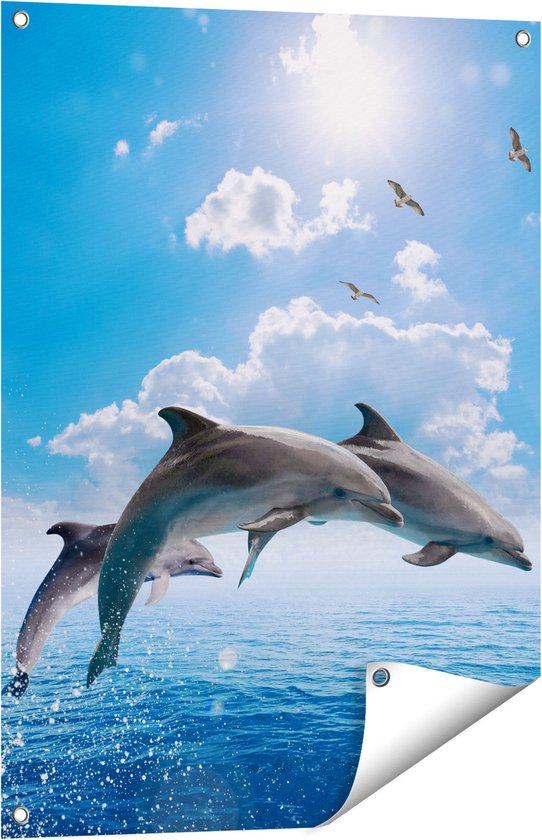 Gards Tuinposter Dolfijnen Springen uit de Blauwe Zee - 60x80 cm ...