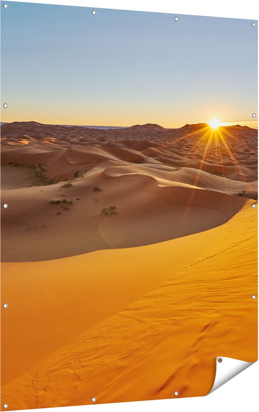 Gards Tuinposter Woestijn in de Sahara met een Opkomende Zon - 120x160 ...