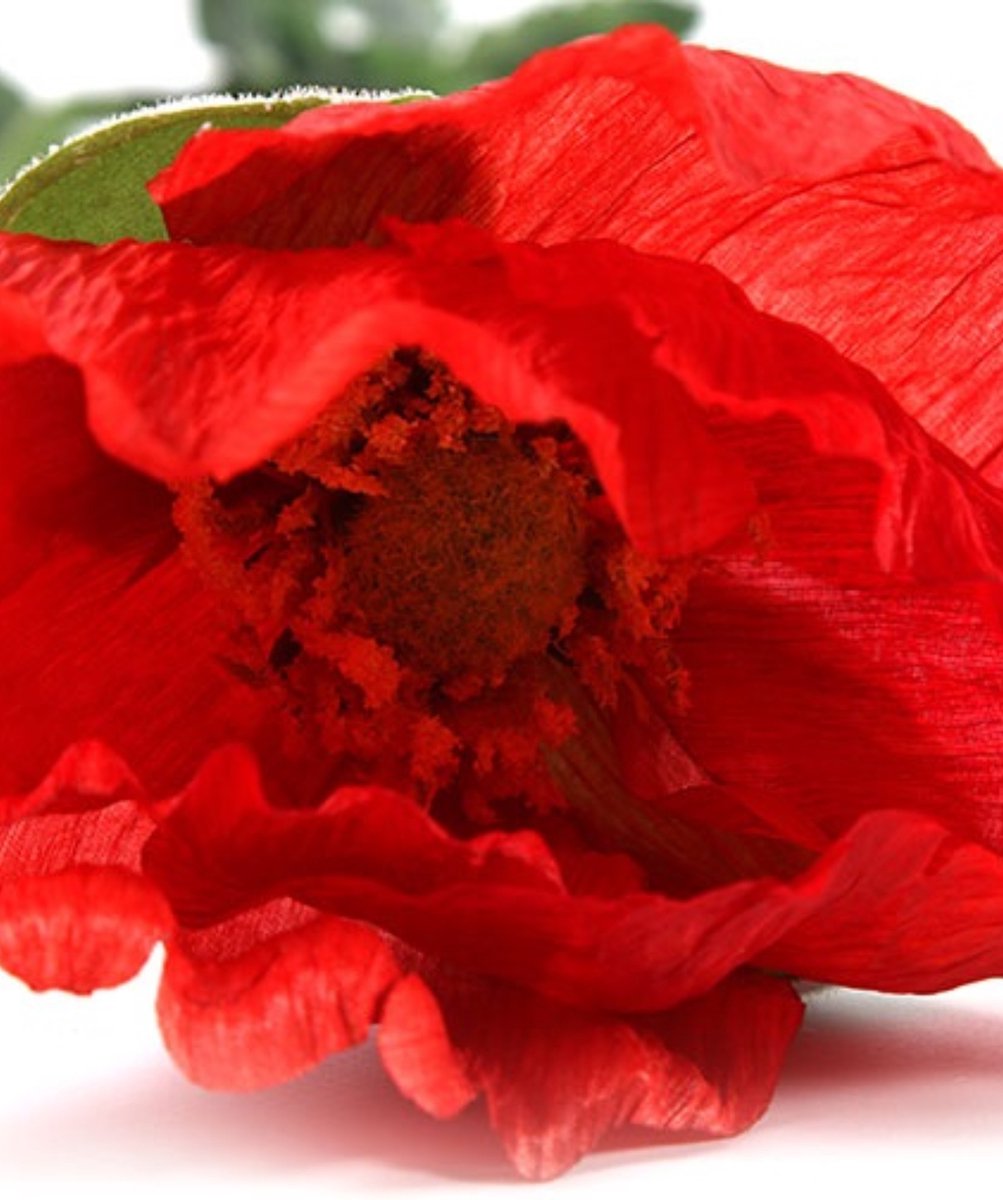 Everplant Kunstbloem Klaproos Rood 76 cm - Nepbloemen - Kunstbloemen ...