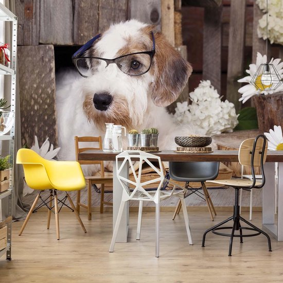 Fotobehang - Vlies Behang - Professor Hond - 416 x 254 cm | bol
