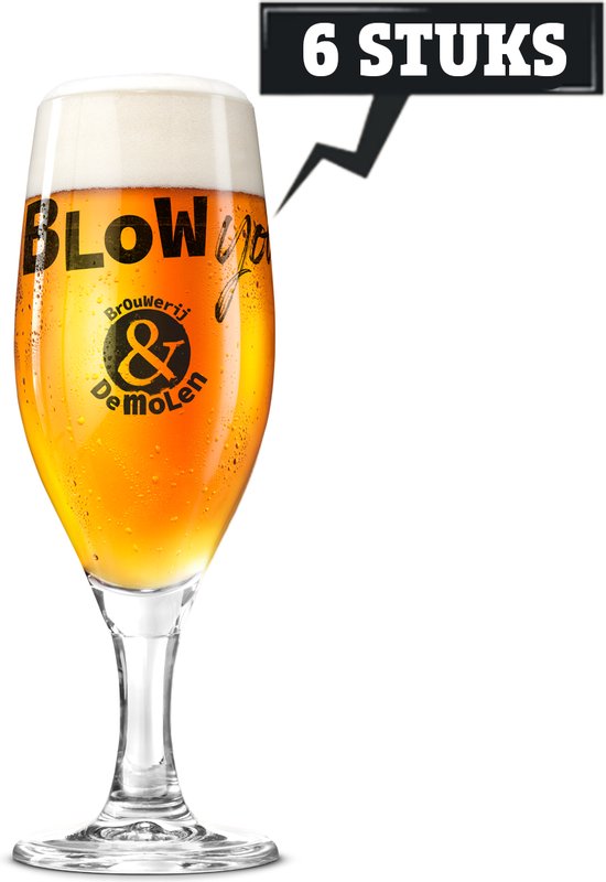 De Molen bierglas - 25cl - 6 stuks | bol