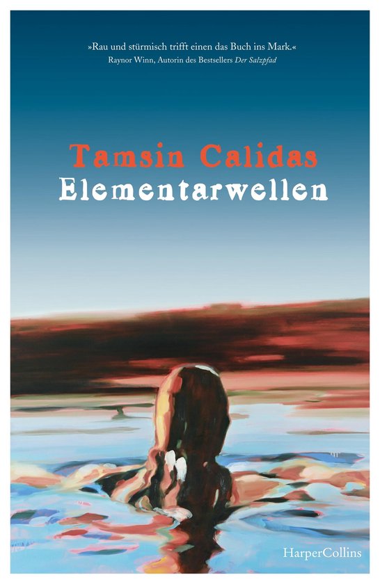 Elementarwellen (ebook), Tamsin Calidas | 9783749905997 | Boeken | bol