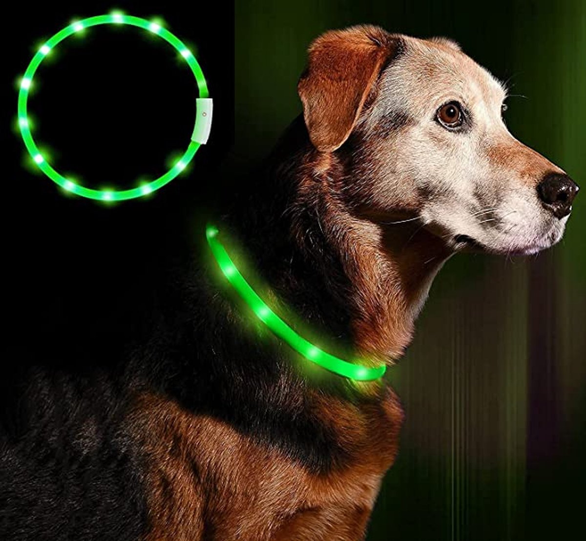 Led halsband - Honden - Groene halsband - 70 cm - Lichtgevende Halsband ...