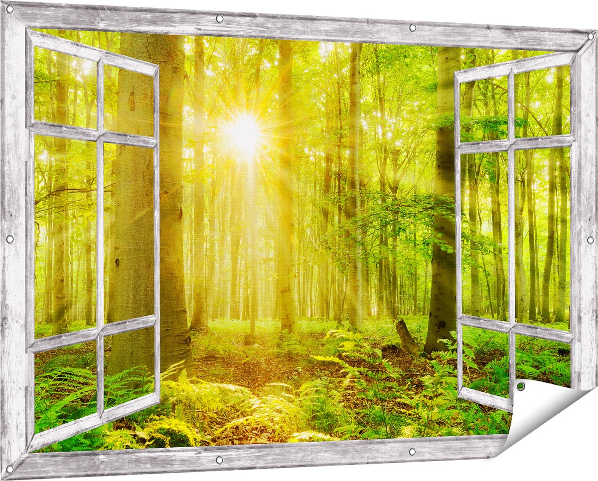 Affiche de jardin Gards Forêt verte transparente avec rayons de soleil ...