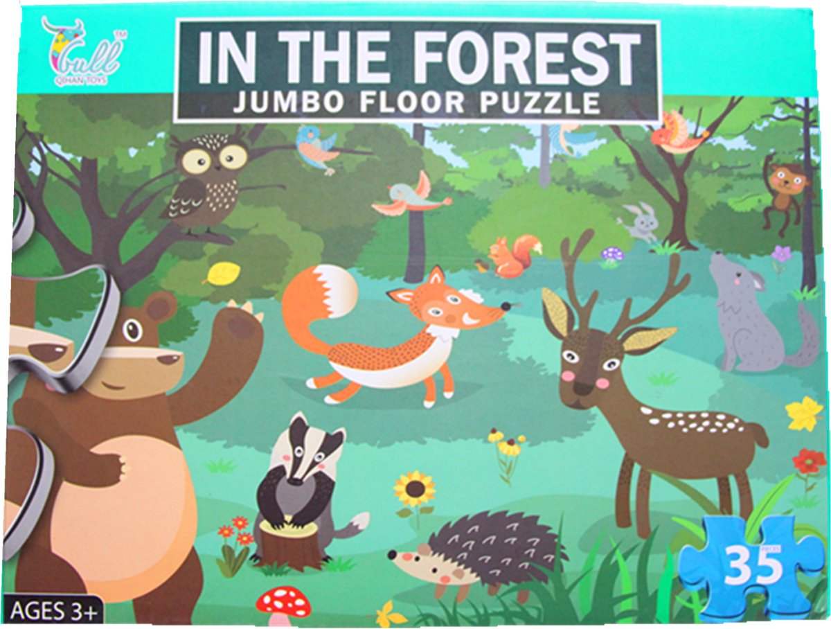 Puzzel voor kinderen 35 grote stukken | bol.com