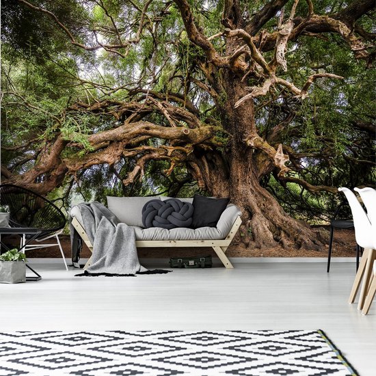 Fotobehang - Vlies Behang - Boom - Sprookjesboom - 254 x 184 cm | bol.com