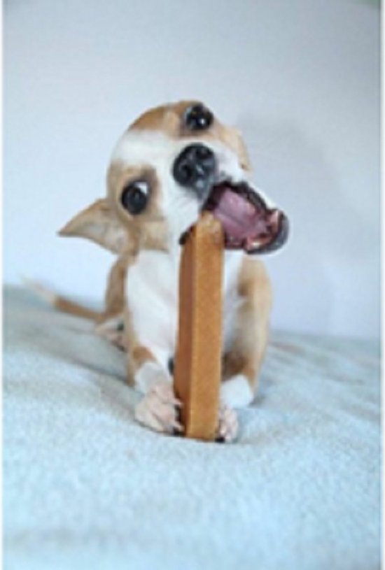 10x Coucour - Himalayan Cheese Bone - yak kaas - Small 41gr - yakmelk ...