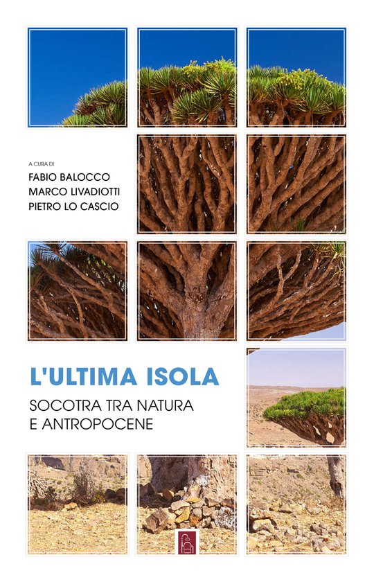Pixel - L’ultima isola (ebook), Fabio Balocco | 9791259631930 | Boeken | bol.com