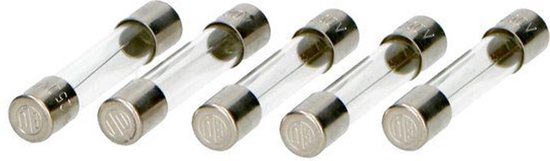 Glaszekering 5x20mm F(snel) 10A - per 5 stuks | bol.com