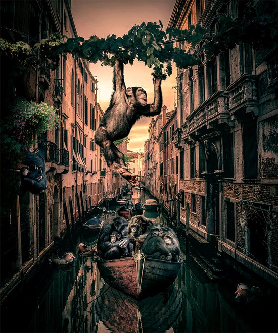 Marble White Gold | bol