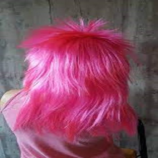 Punk Pruik (Roze) | bol.com