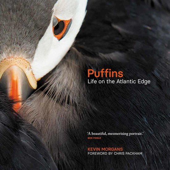 Puffins (ebook), Kevin Morgans | 9781914518270 | Boeken | bol