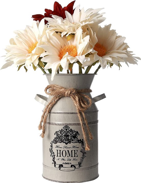 Decoratieve vaas – vaas voor bloemen | bol.com