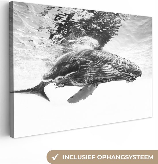 Canvas schilderij - Walvis - Water - Dieren - Zwart wit - Canvas doek ...