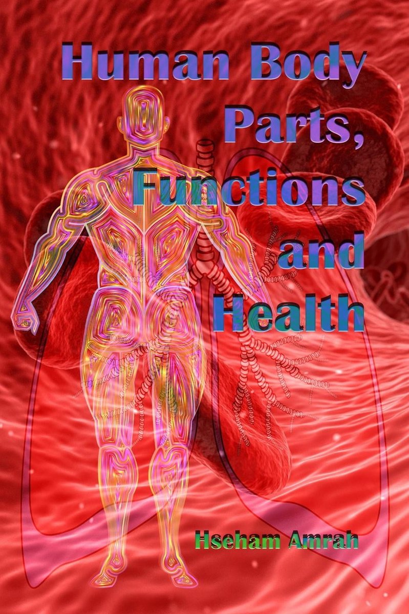 Human Anatomy Parts And Functions - Infoupdate.org