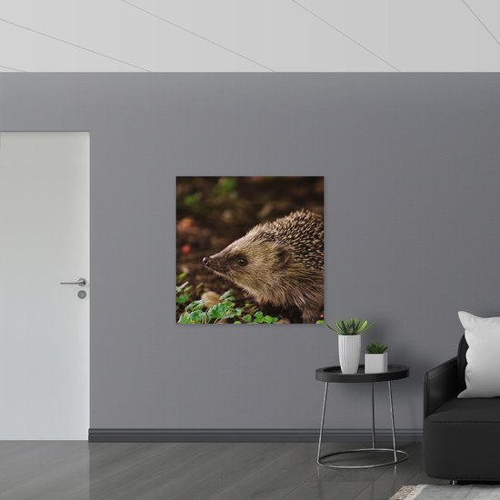 Muursticker - Egel met Spitse Neus tussen Kleine Plantjes - 100x100 cm ...