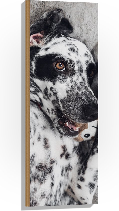 Hout - Blijkijkende Dalmatiër Hond op Rug - 30x90 cm - 9 mm dik - Foto ...