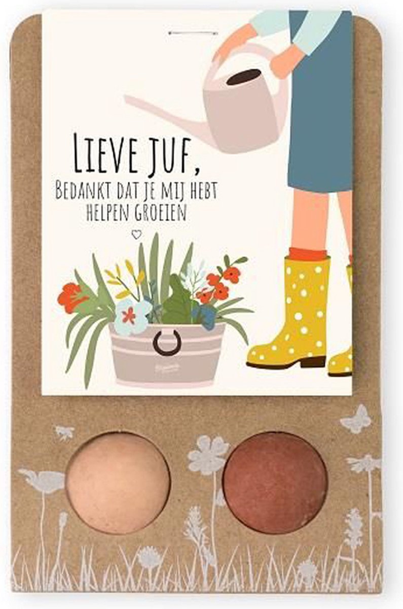 Blossombs bloembommetjes Lieve juf - 2 Stuks | bol.com