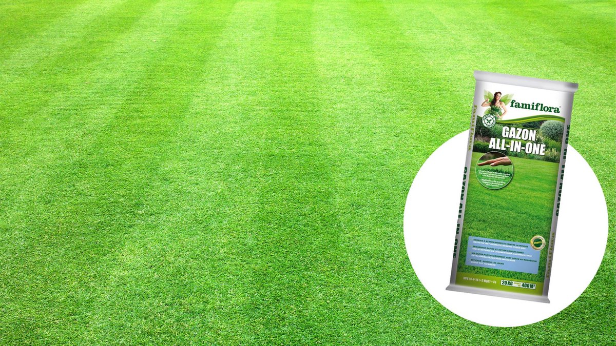 Famiflora Gazonmest All-in-One 20 kg | bol