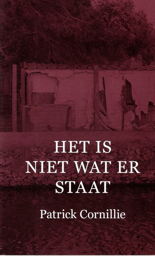 Het is niet wat er staat, Patrick Cornillie | 9789061744528 | Boeken | bol