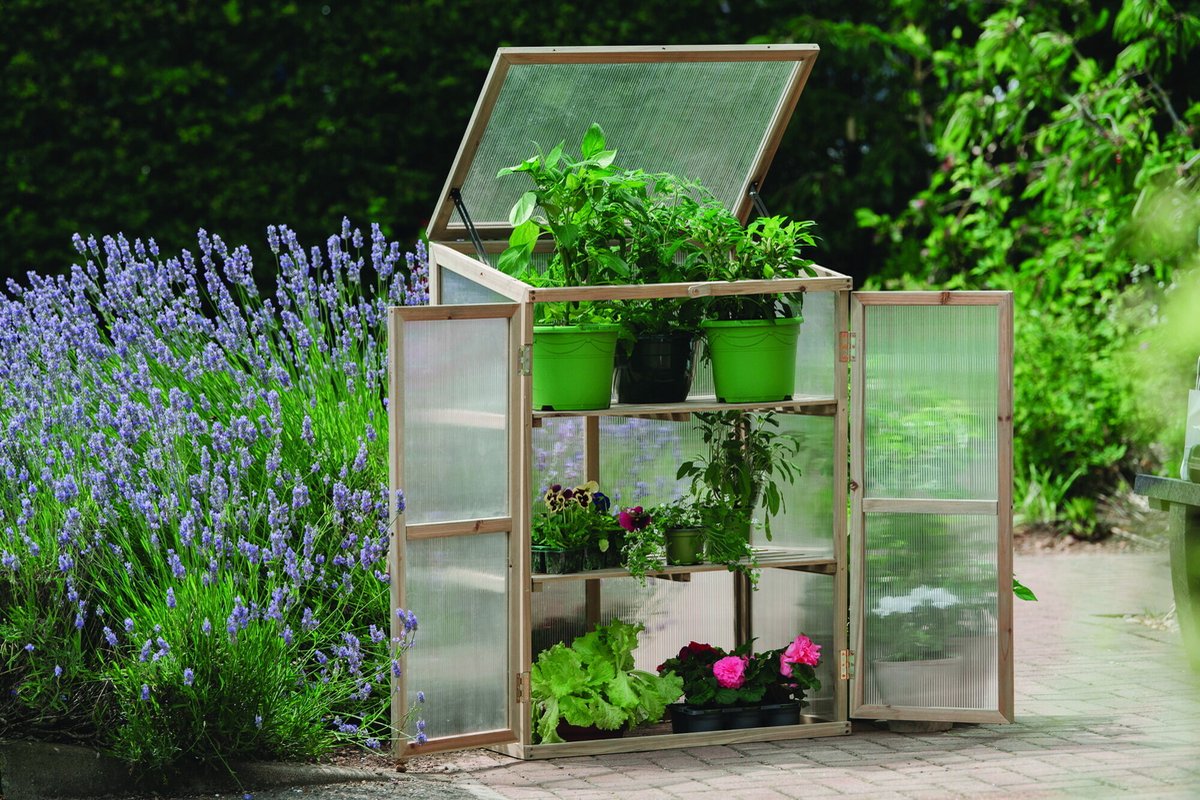 Grow-it Kweekkas hout | bol