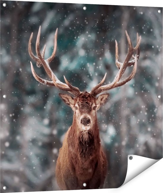 Gards Affiche de Jardin Tête de Cerf - Cerf dans la Neige - 90x90 cm ...