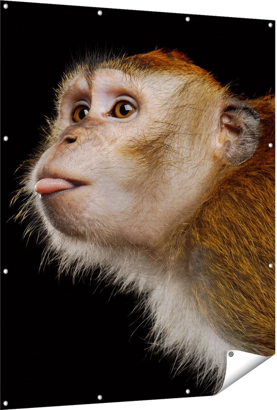 Gards Tuinposter Apenkop met Zijn Tong uit - Aap - 120x150 cm ...