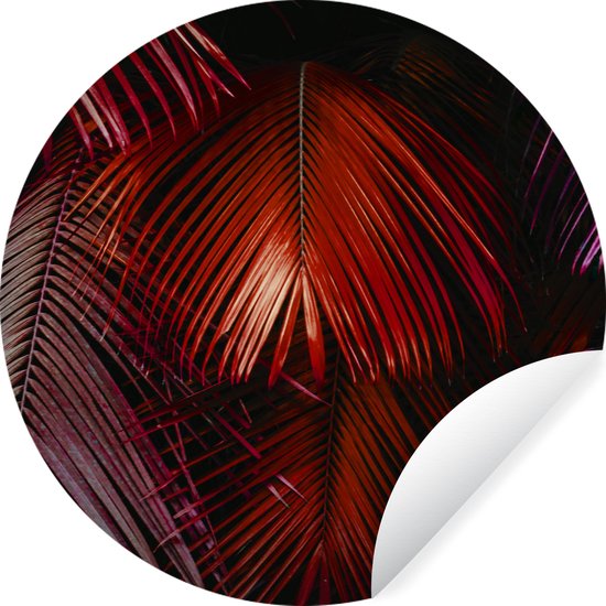 WallCircle - Muurstickers - Behangcirkel - Jungle - Design - Kleuren - Bladeren - ⌀... | bol