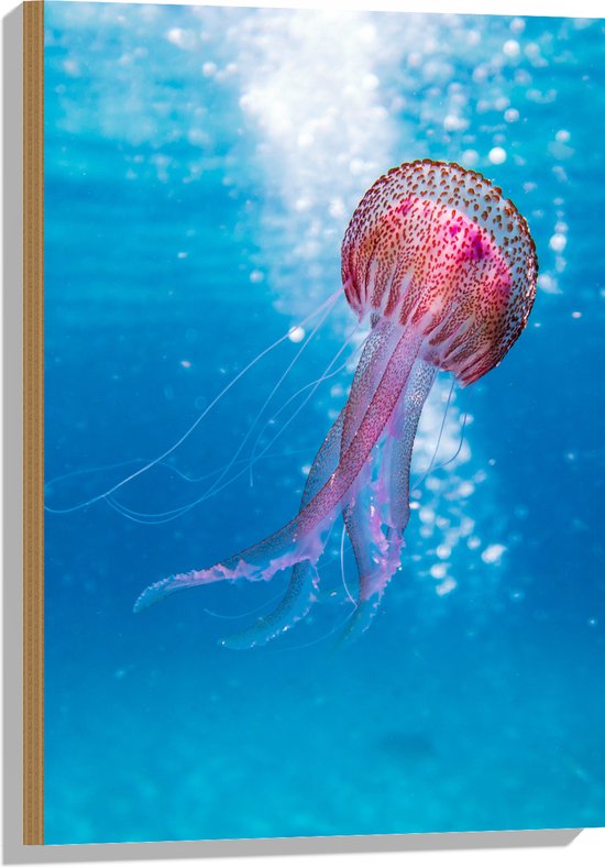 Hout - Roze Kwal Zwemmend in de Zee - 50x75 cm - 9 mm dik - Foto op ...