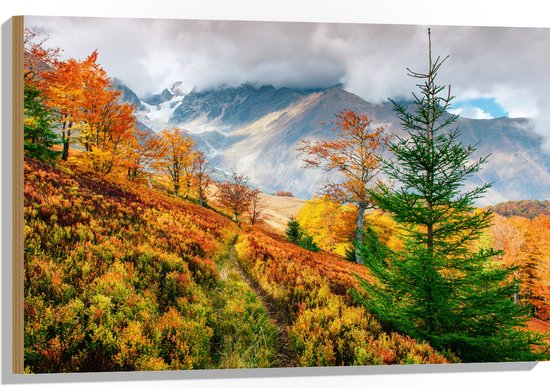 Hout - Bomen in Verschillende Kleuren Hoog in de Bergen - 90x60 cm - 9 ...