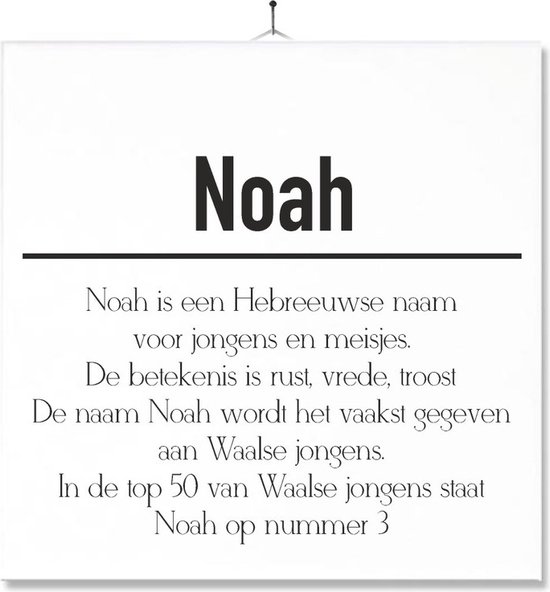 Tegel Met Opdruk | Betekenis | Kado | Cadeau | Met Naam - Noah | bol