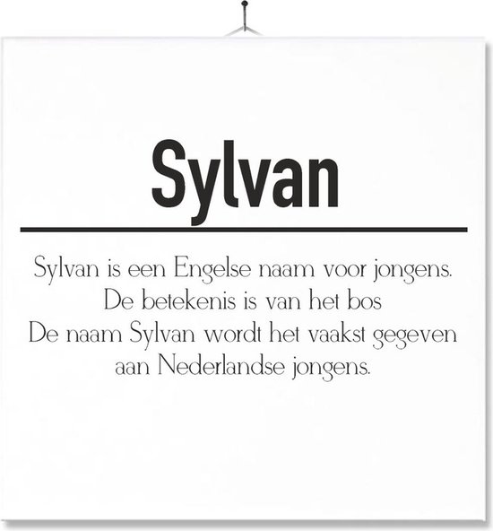 Tegel Met Opdruk | Betekenis | Kado | Cadeau | Met Naam - Sylvan | bol