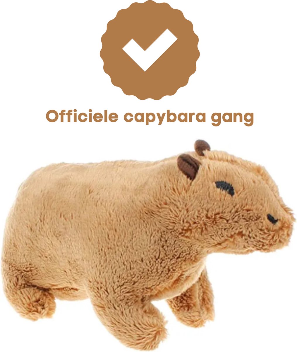 Capibara Knuffel - Capybara Knuffel - Capibara - Capybara - Capibara ...