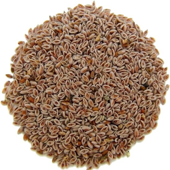 Pit&Pit - Psylliumzaad 300g - Rijk aan vezels - Voor glutenvrij bakken ...
