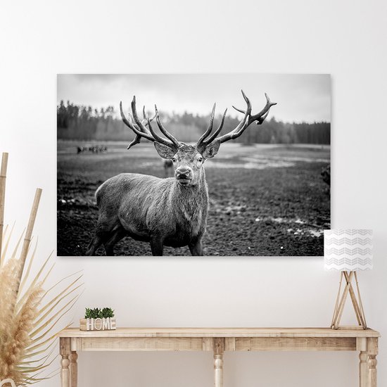 Canvas Schilderij Edelhert | bol