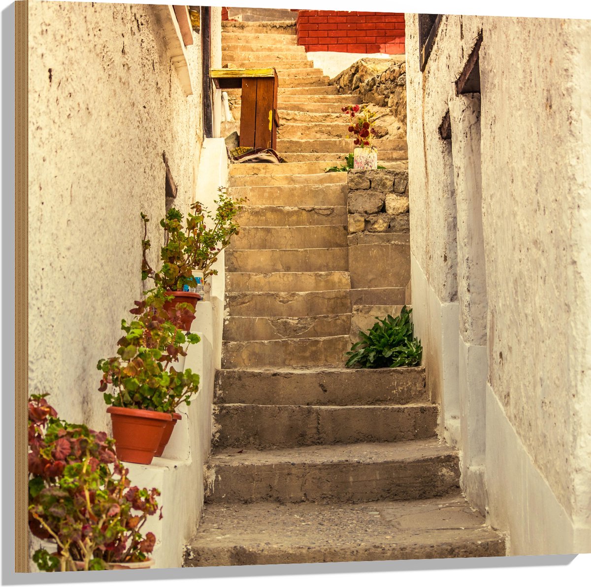 Hout - Trap in Steegje met Planten - 80x80 cm - 9 mm dik - Foto op Hout ...